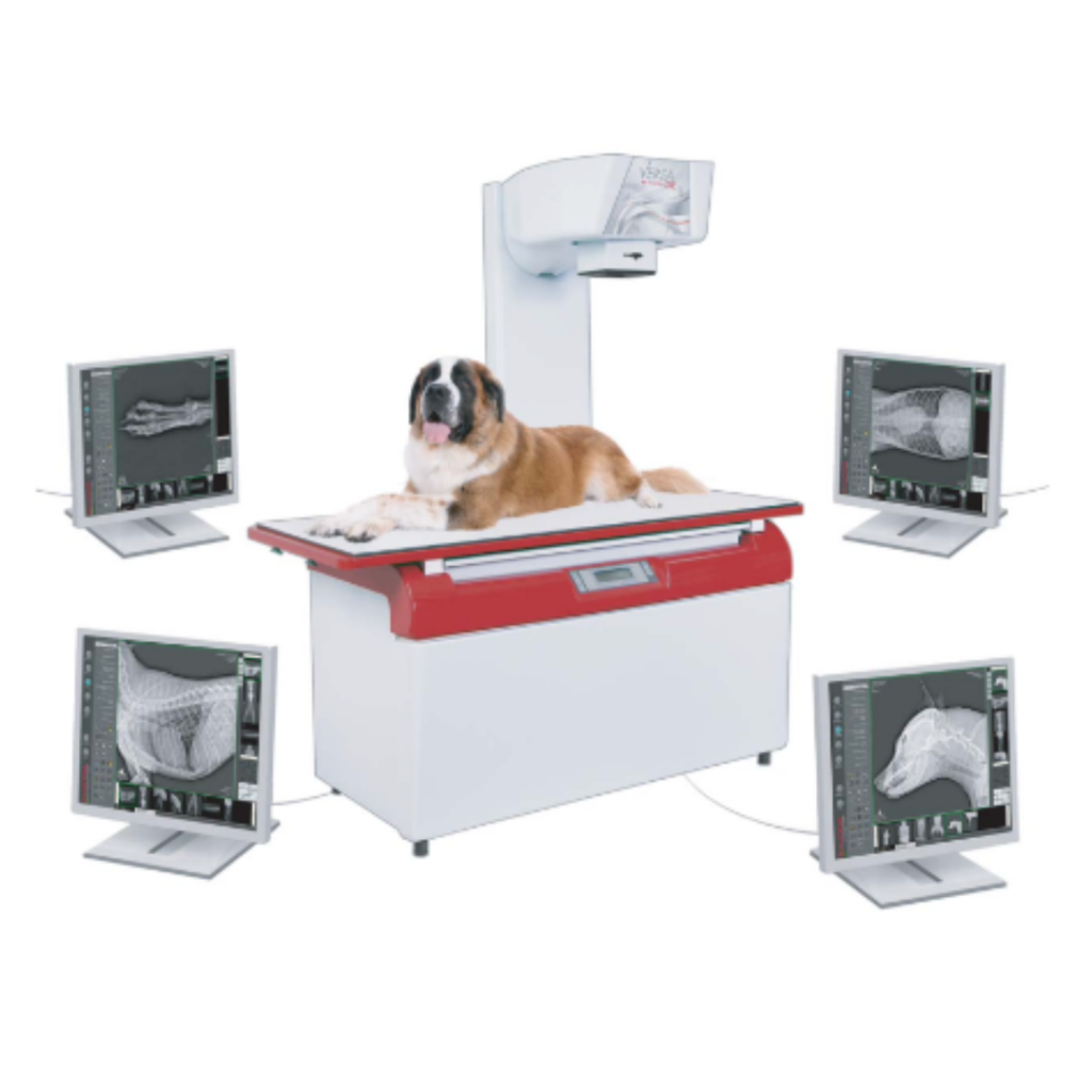 X-Ray Equipment - See Veterinary Options | Bravo Imaging Miami
